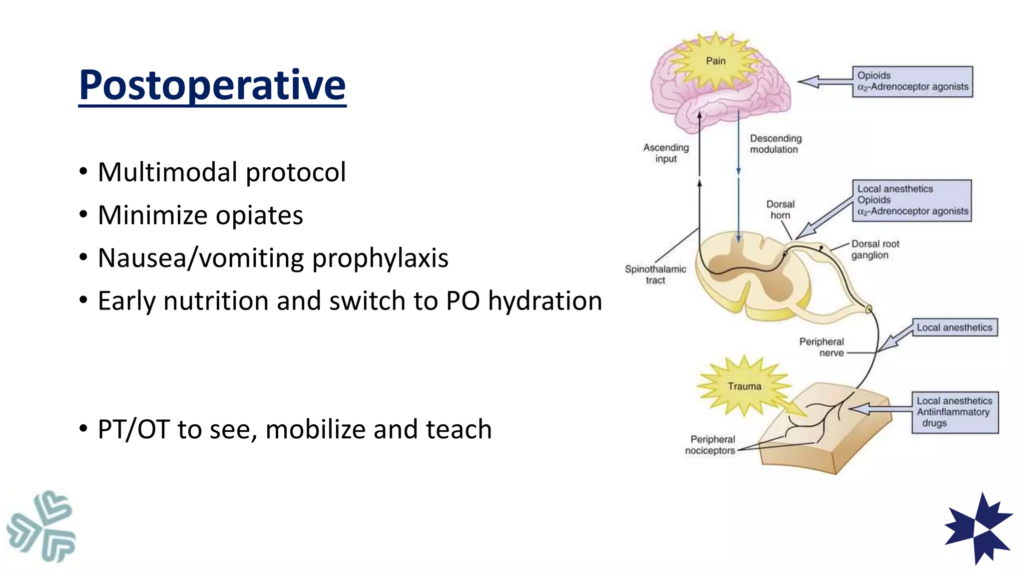 Same-Day Joint Replacement Surgery | PPTX