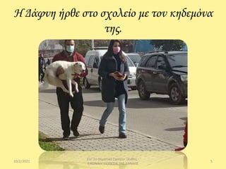 Εικονική Υιοθεσία Δανάης | PPT