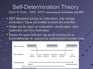 Self-Determination Theory and Person-centred care (PCC) | PPT