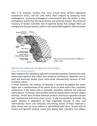 Behaviour of tendons and ligaments towards Load | PDF