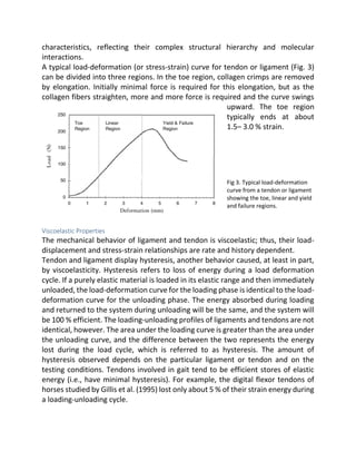 Behaviour of tendons and ligaments towards Load | PDF