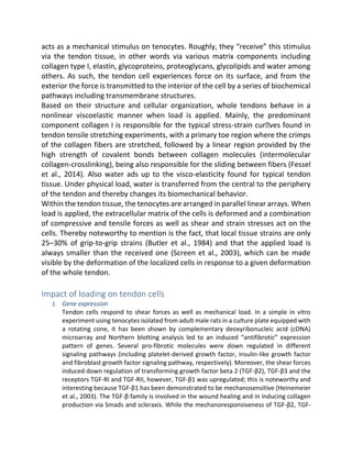 Behaviour of tendons and ligaments towards Load | PDF