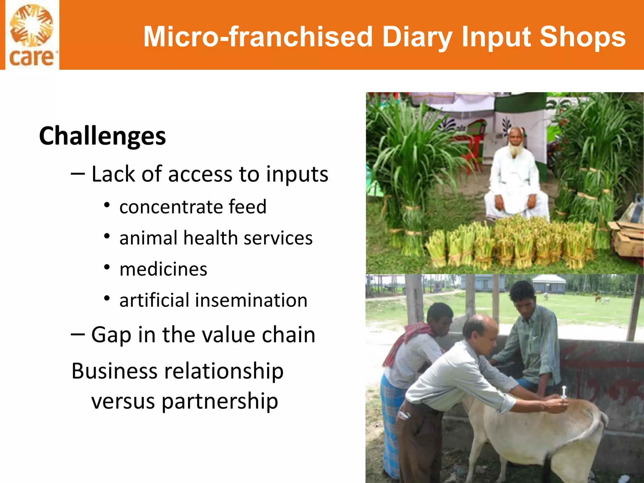 Strengthening the Dairy Value Chain in Bangladesh through Private ...