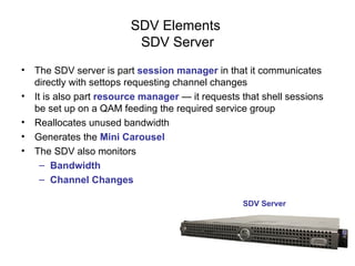 SDV Presentation | PPT