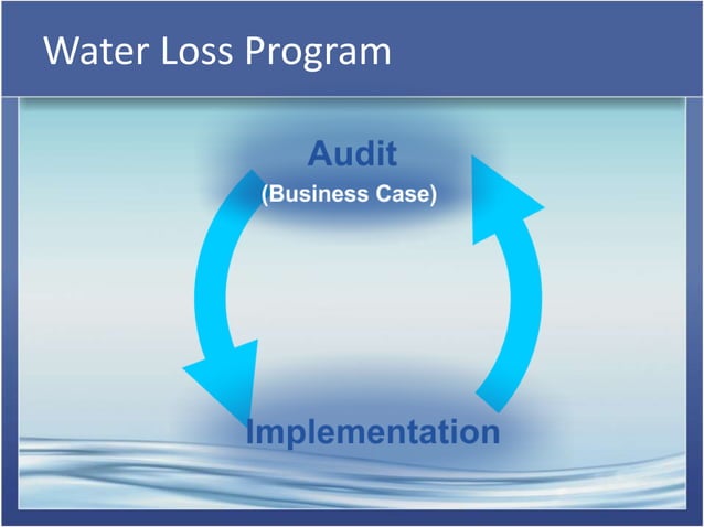 Water Loss - A Business Case for Action | PPTX