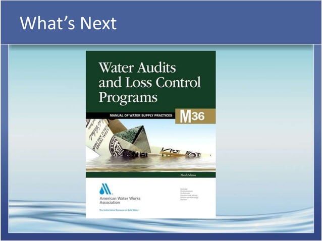 Water Loss - A Business Case for Action | PPTX