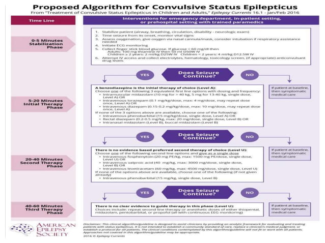 Status Epilepticus | PPTX | Brain and Nervous System Disorders ...