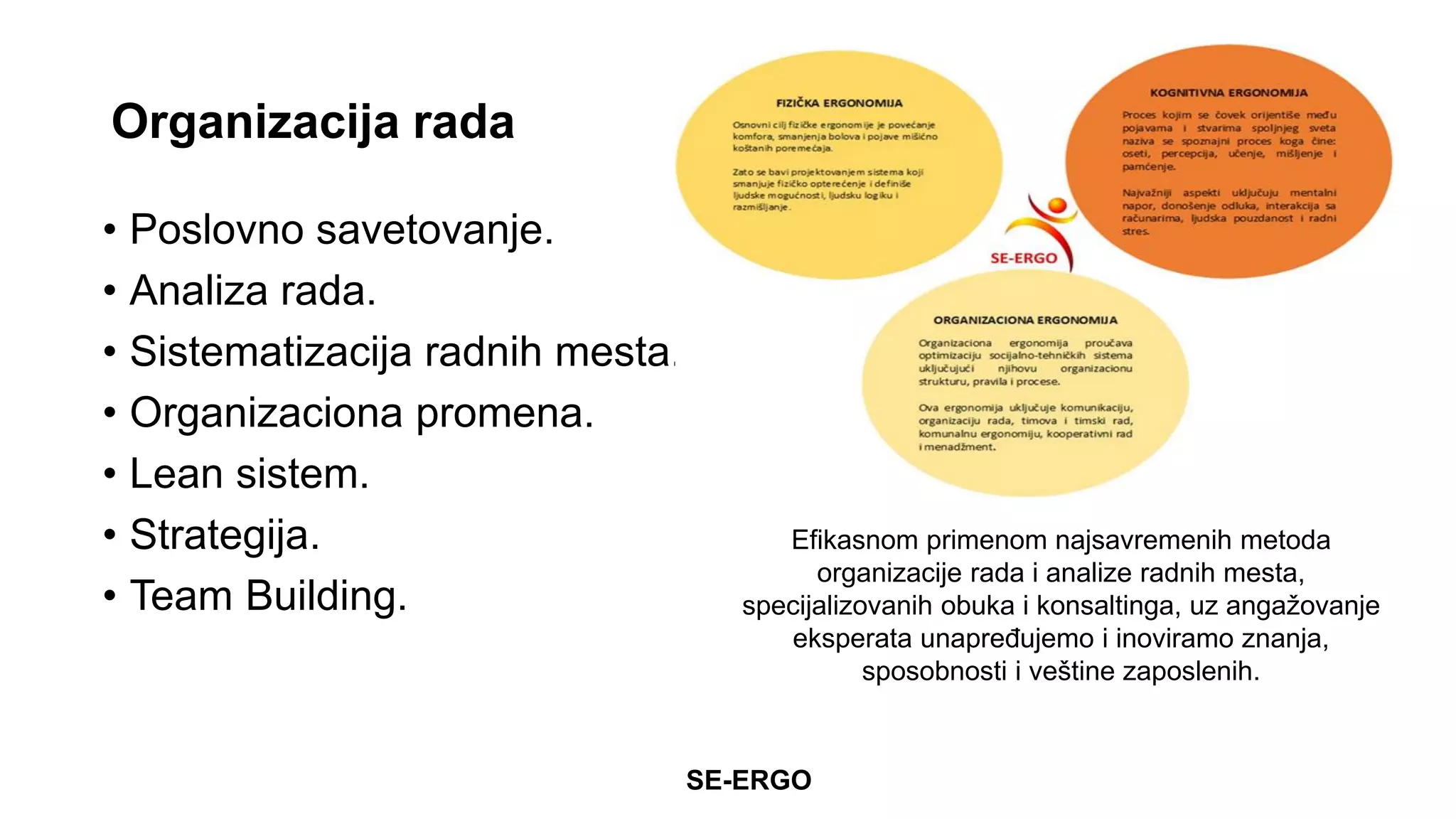 SE-ERGO usluge | PDF