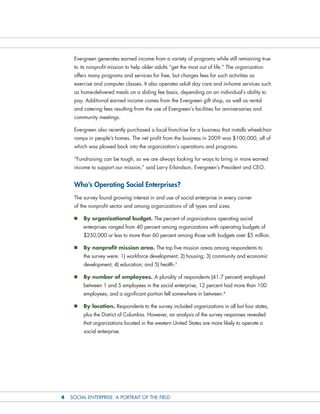 Social Enterprise - Portrait of the Field | PDF