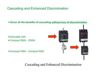 SE10550-Webinar -Cascading & Discrimination_Schneider.ppt