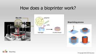 Se3 d workshop presentation biolink | PDF