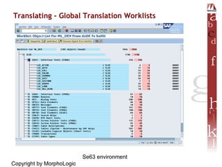 The Standard SAP Translation Environment | PPT