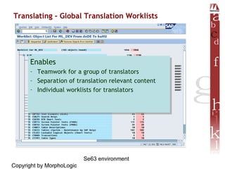 The Standard SAP Translation Environment | PPT