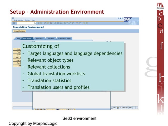 The Standard SAP Translation Environment | PPT
