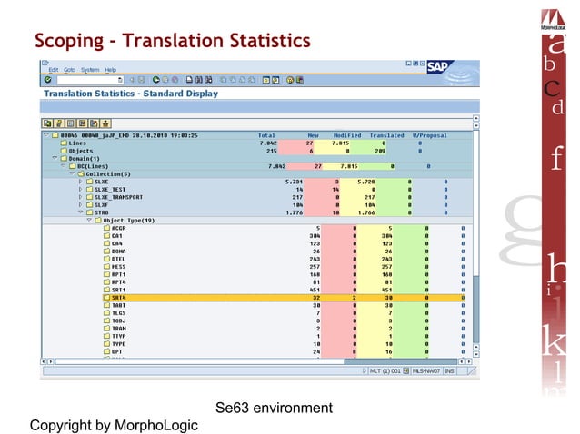 The Standard SAP Translation Environment | PPT