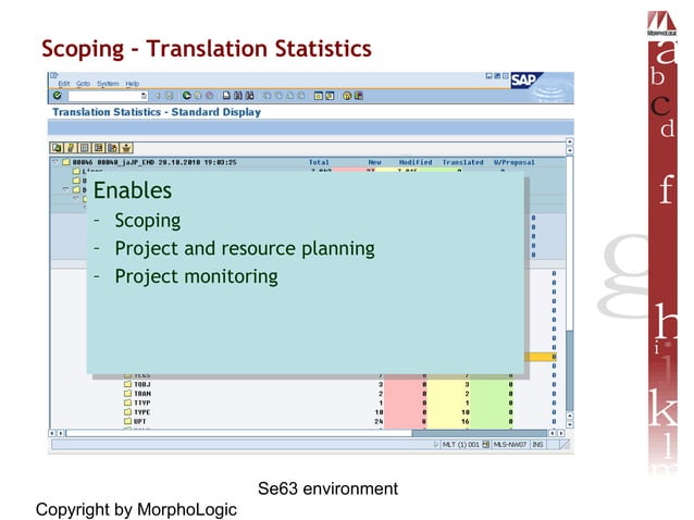The Standard SAP Translation Environment | PPT
