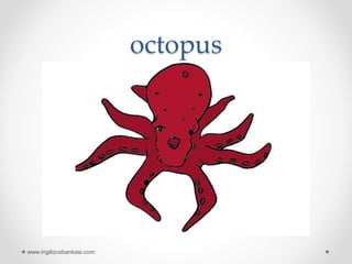Sea animals | PPTX