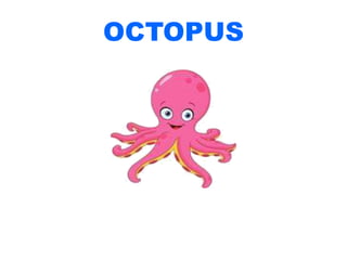 sea-animals-flashcards_49824 (1) [Autoguardado].ppt