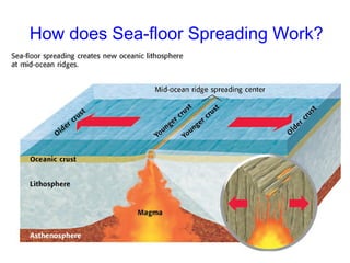 sea-floor_spreading-1---introduction.ppt