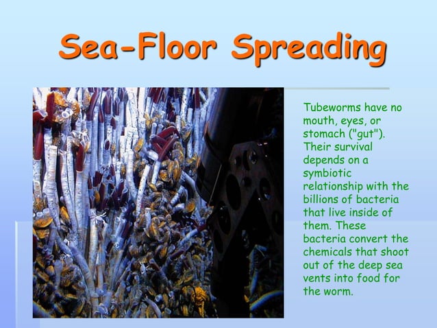 Sea-Floor Spreading.ppt Sea-Floor Spreading. | PPT