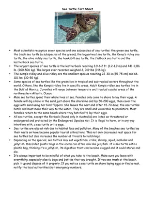 Sea Turtle Fact Sheet | DOC