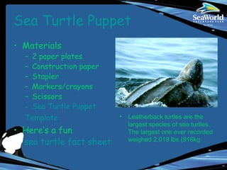 Sea Turtle Puppet | PPT