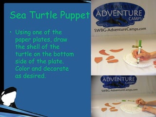 Sea Turtle Puppet | PPT