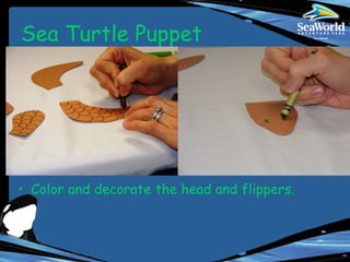 Sea Turtle Puppet | PPT