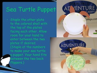 Sea Turtle Puppet | PPT