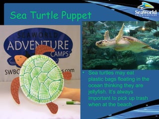 Sea Turtle Puppet | PPT