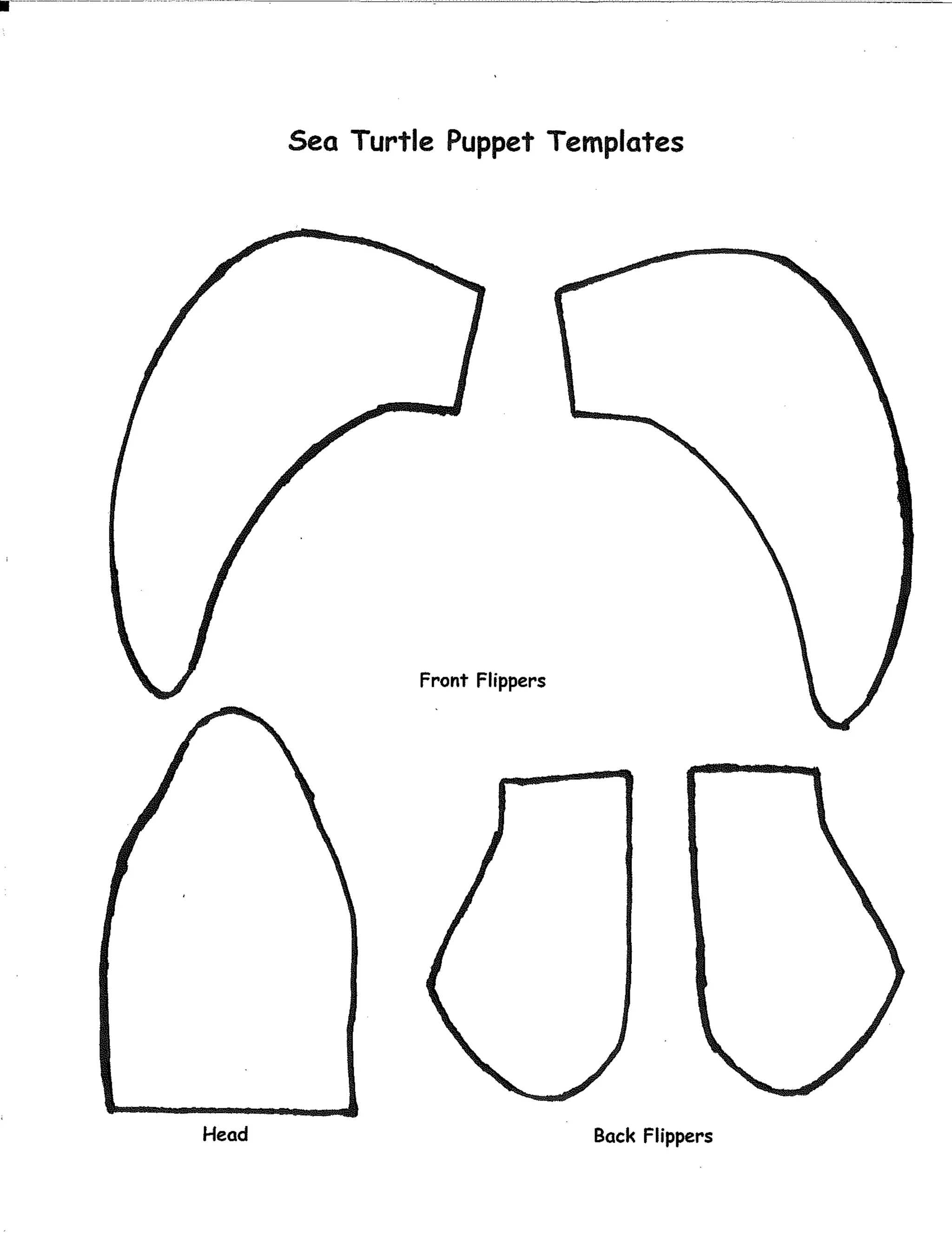 Sea Turtle Puppet Template | PDF