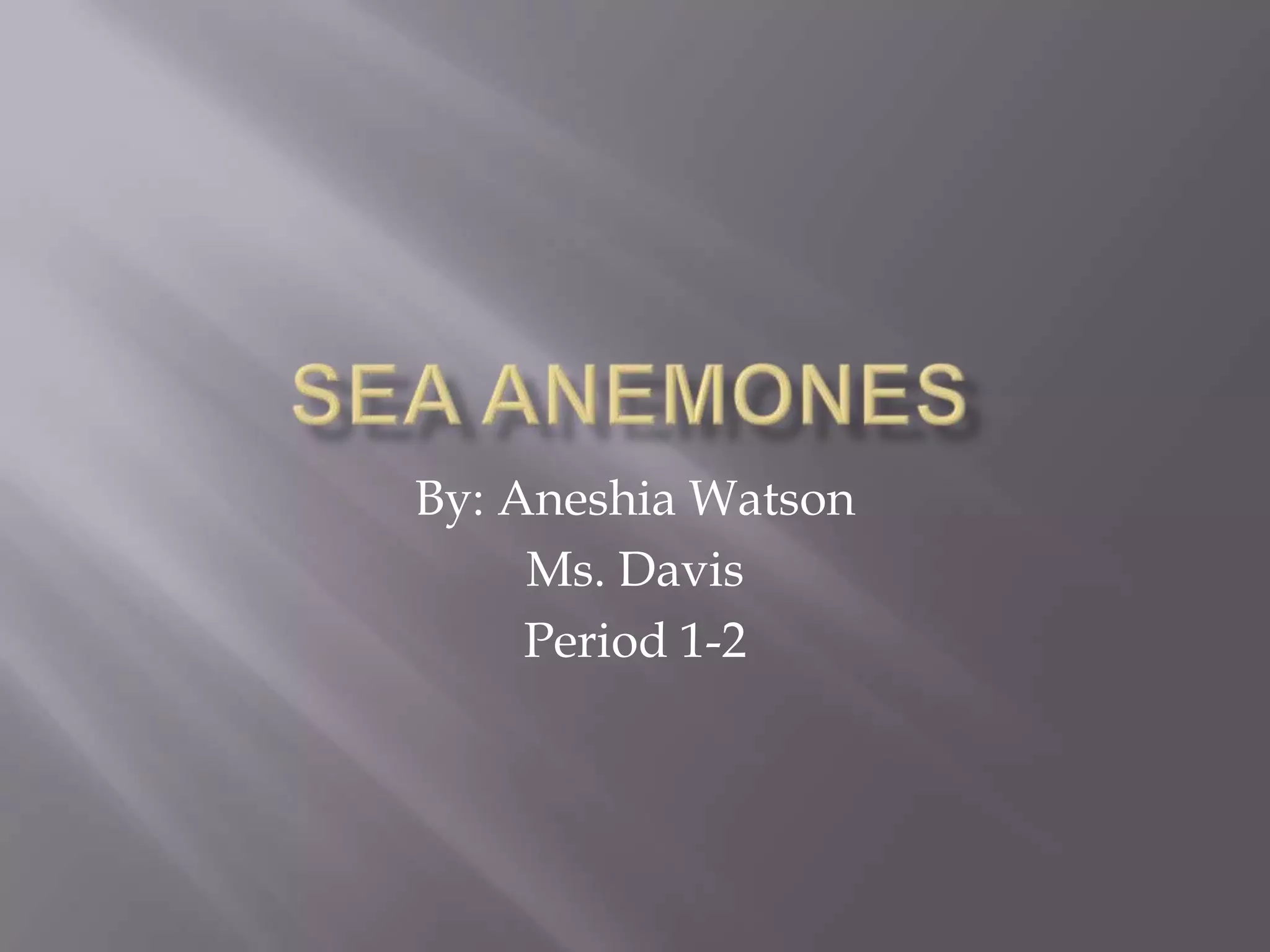 Sea Anemones P Pt Presentation | PPTX