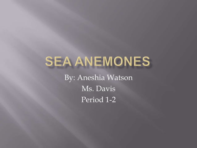 Sea Anemones P Pt Presentation | PPTX