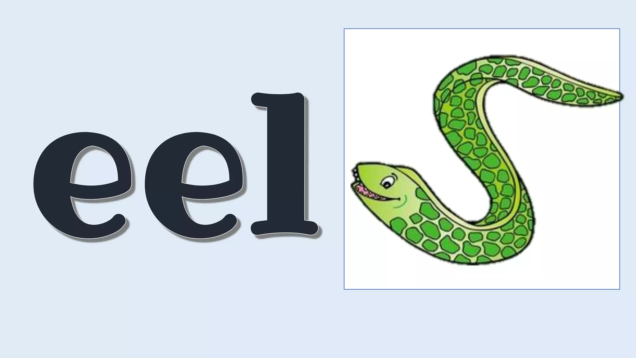 Sea animals: English Language | PPT