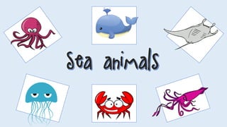 Sea animals: English Language | PPT
