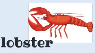 Sea animals: English Language | PDF