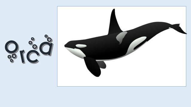 Sea animals: English Language | PPT