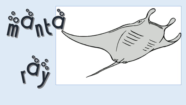 Sea animals: English Language | PPT