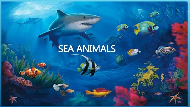 Sea animals | PPTX