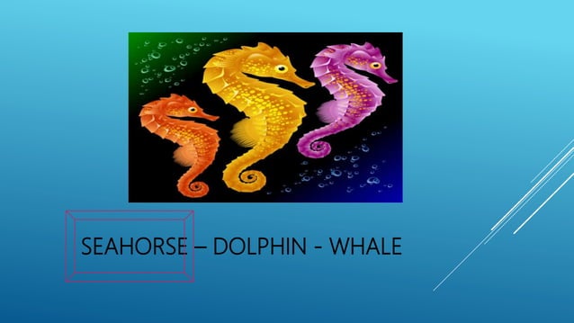 Sea animals | PPTX | Zoos & Aquariums | Attractions