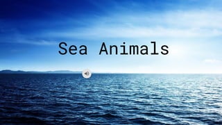 Sea Animals.pdf