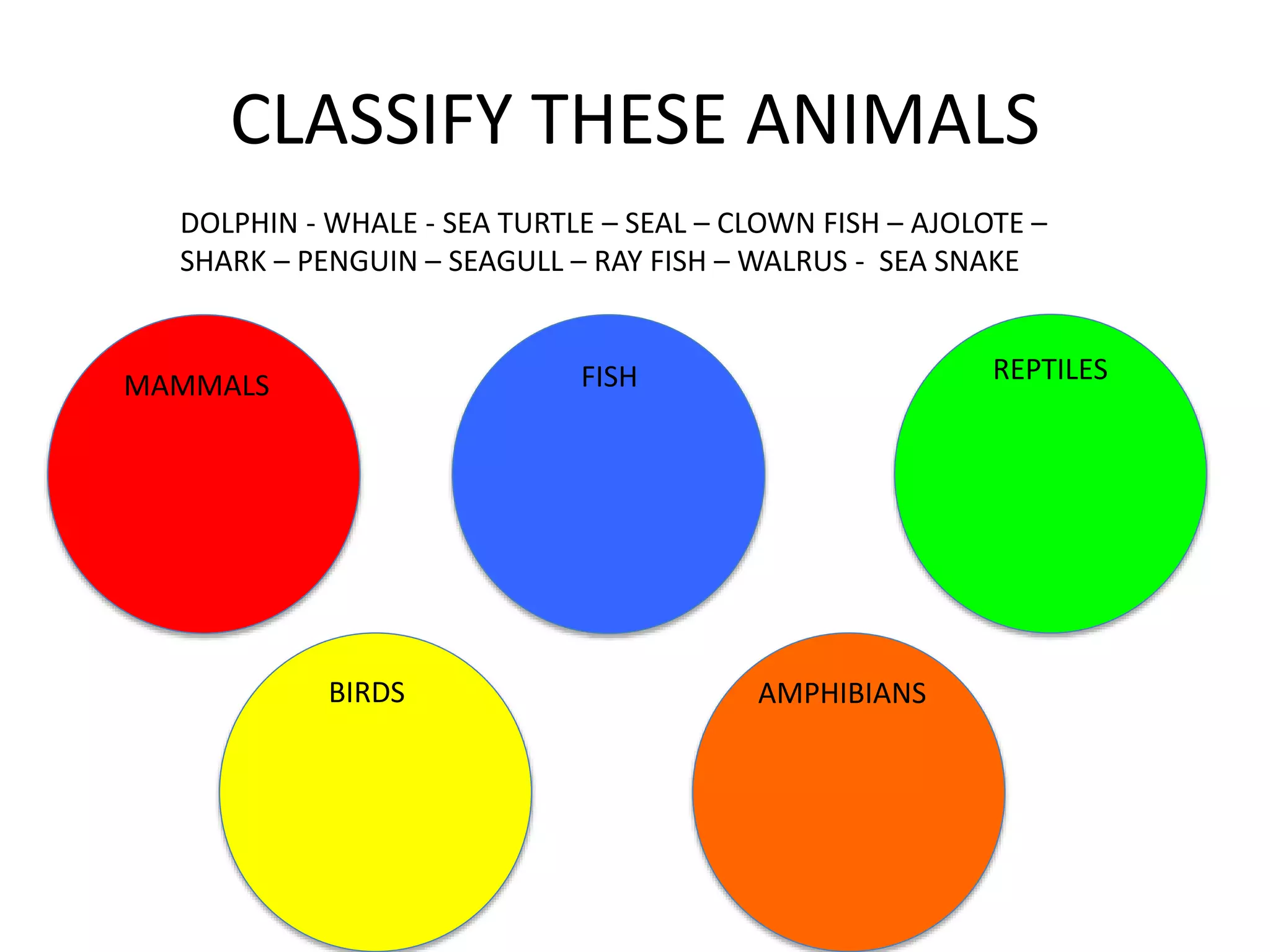 Sea animals classification | PPTX