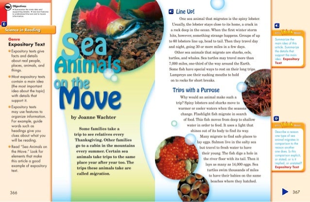 Sea Animals on the Move