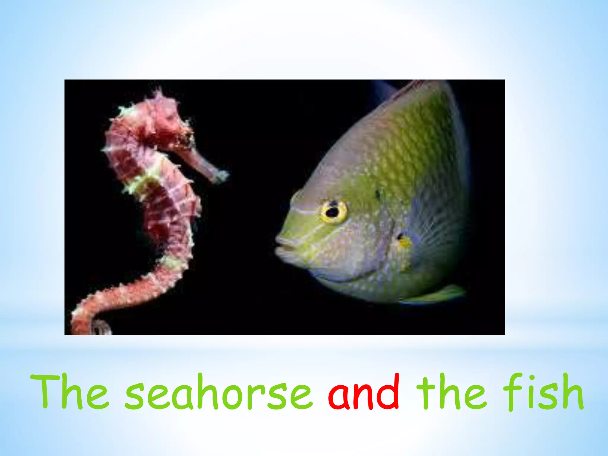 Sea Animals | PPT