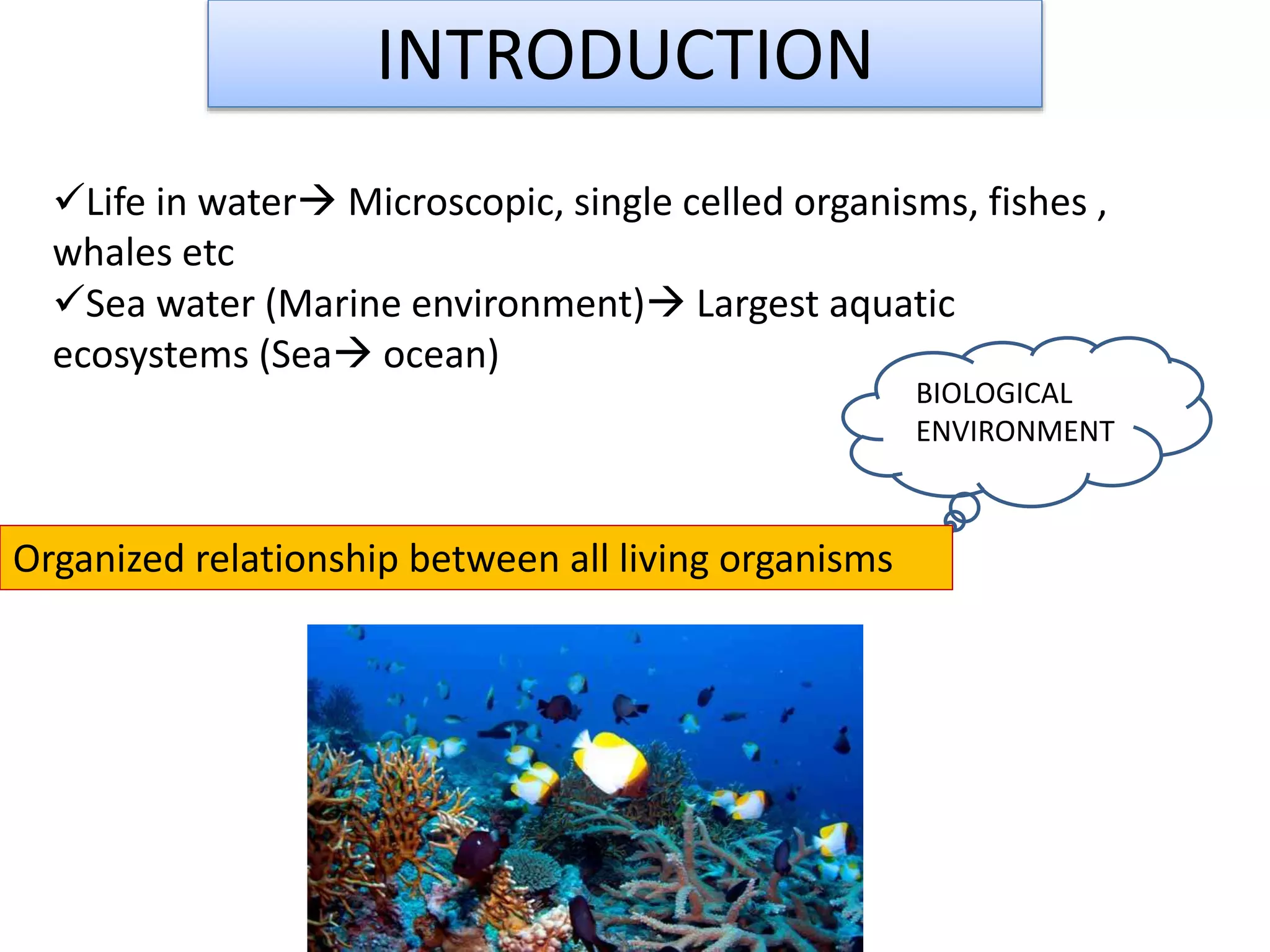 Sea As Biological Environment Pptx