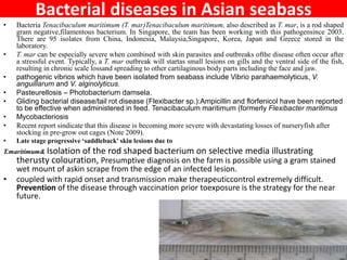 Seabass Diseases and control measures by B.pptx