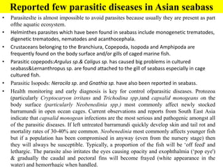 Seabass Diseases and control measures by B.pptx