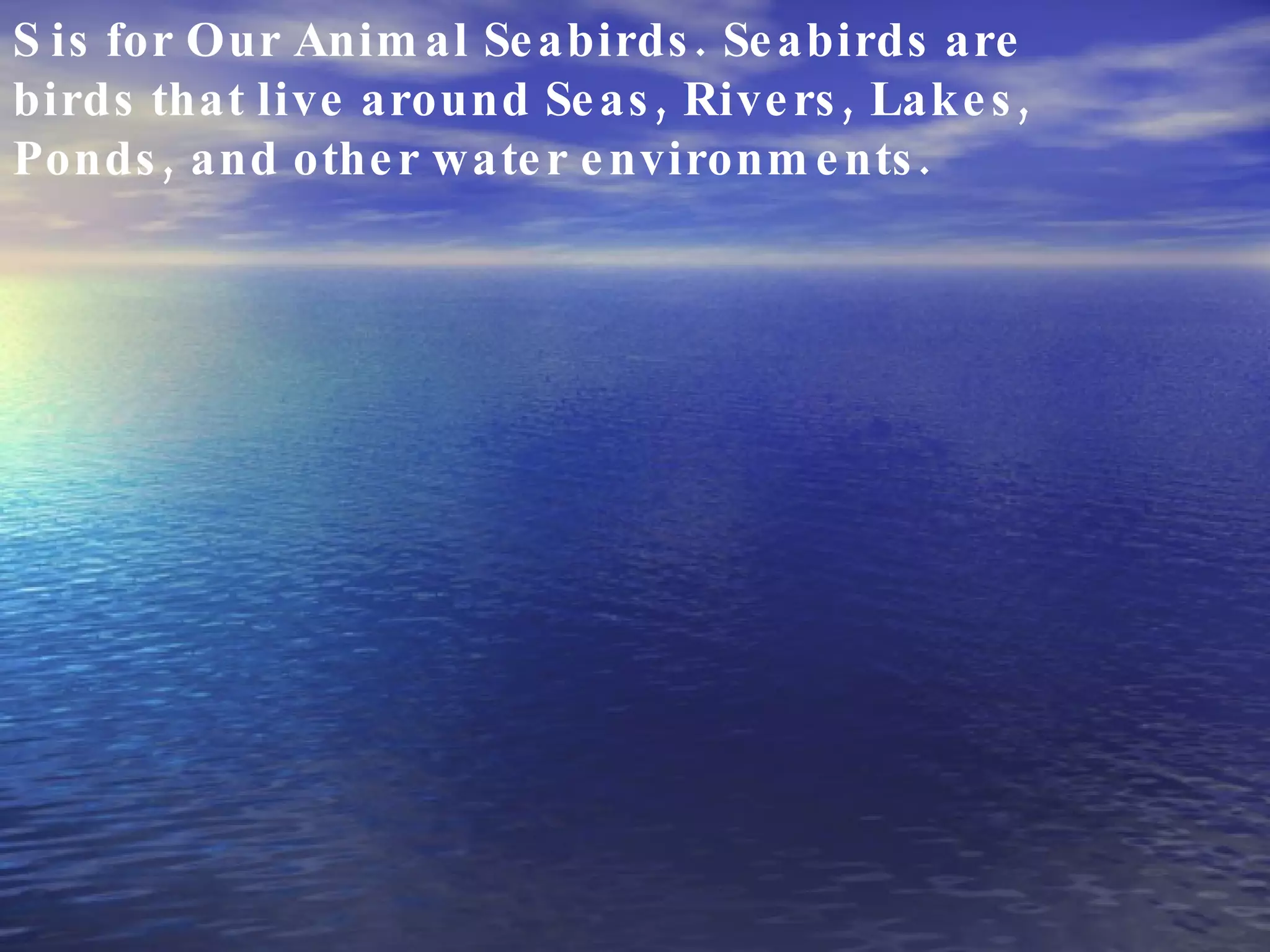 Seabirds Research | PPT