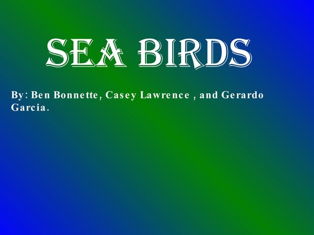 Seabirds Research | PPT