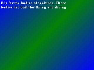 Seabirds Research | PPT